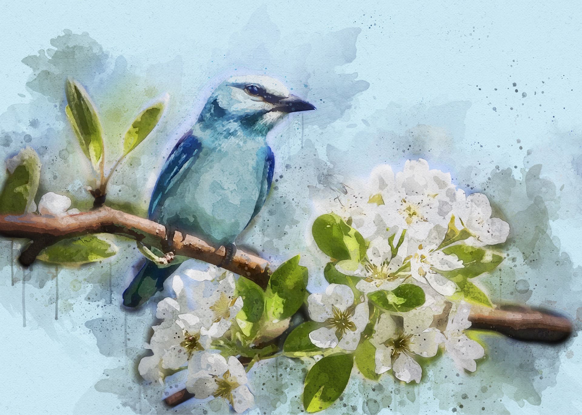 Gallery - Jackie Railsback's Art - Watercolor Paintings